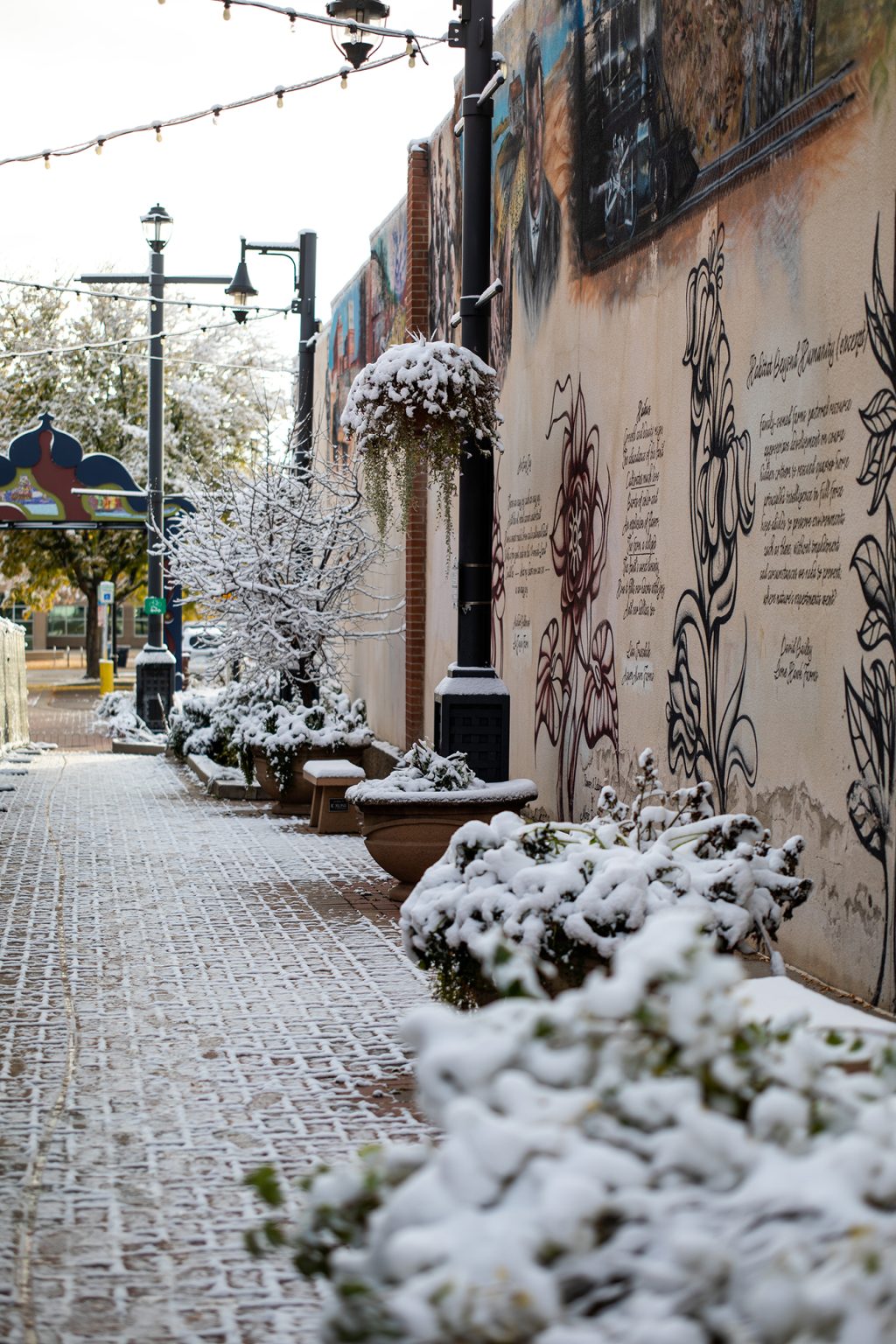 Homepage - Explore NoCo